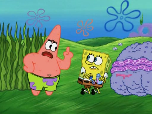 112a | Porous Pockets | SpongeBob Captures