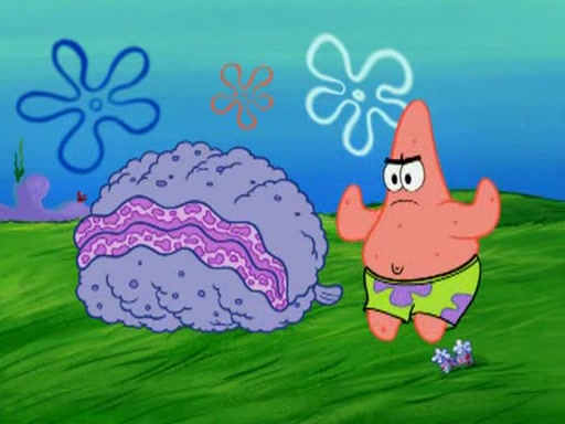 112a | Porous Pockets | SpongeBob Captures