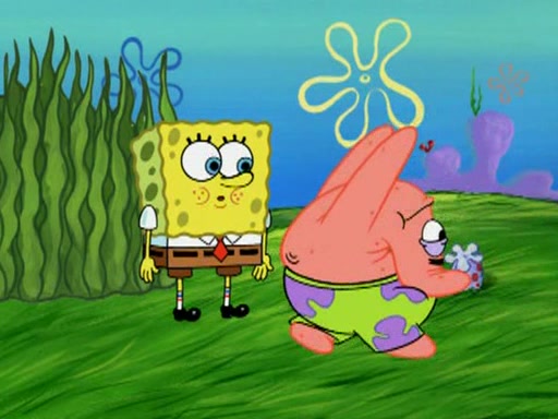 112a | Porous Pockets | SpongeBob Captures