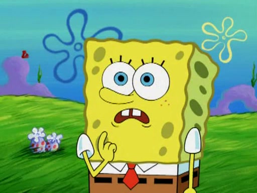 112a | Porous Pockets | SpongeBob Captures